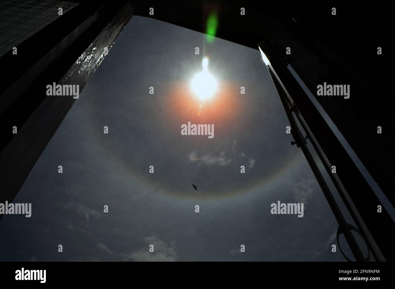 The halo phenomenon is seen around the sun in Srinagar. Sun halos are ...