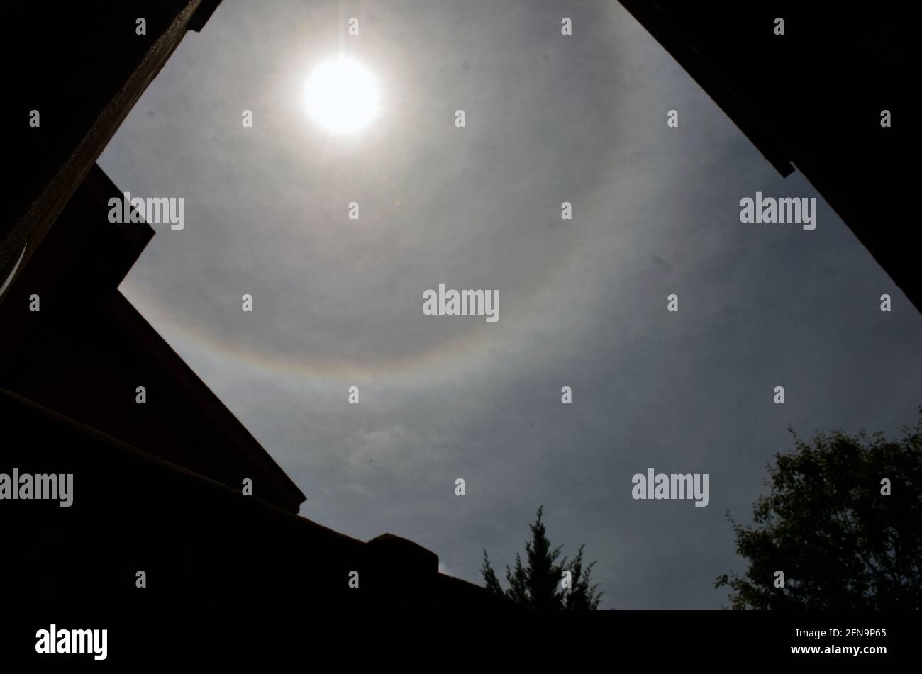 The halo phenomenon is seen around the sun in Srinagar. Sun halos are ...