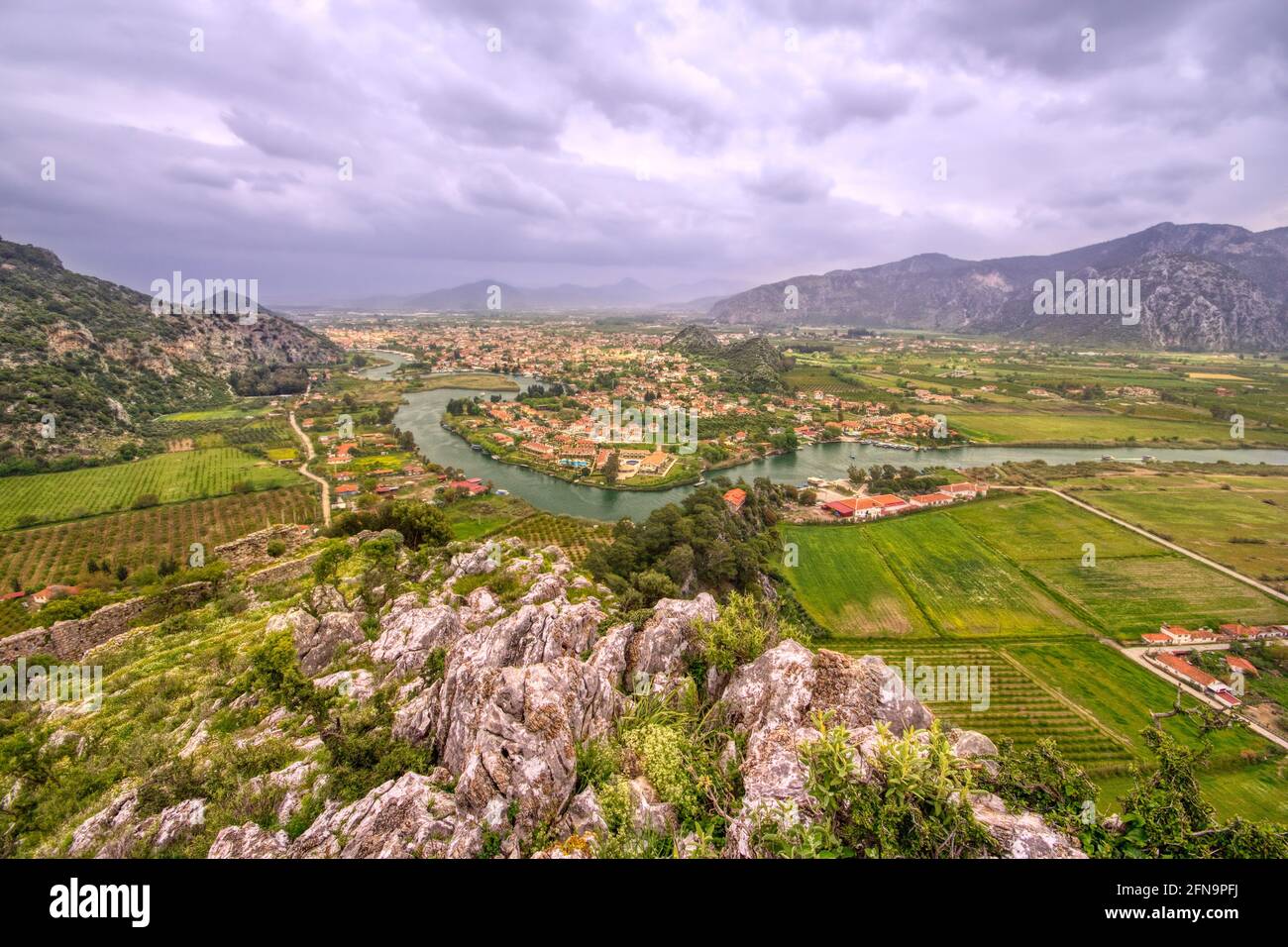 Spring turkey hi-res stock photography and images - Alamy