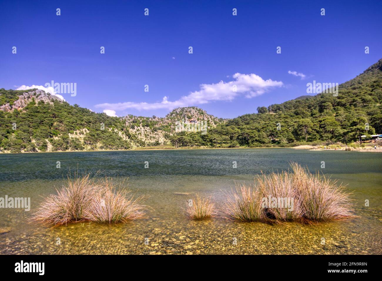 The Turtle Place, Dalyan, Turkey Stock Photo - Alamy