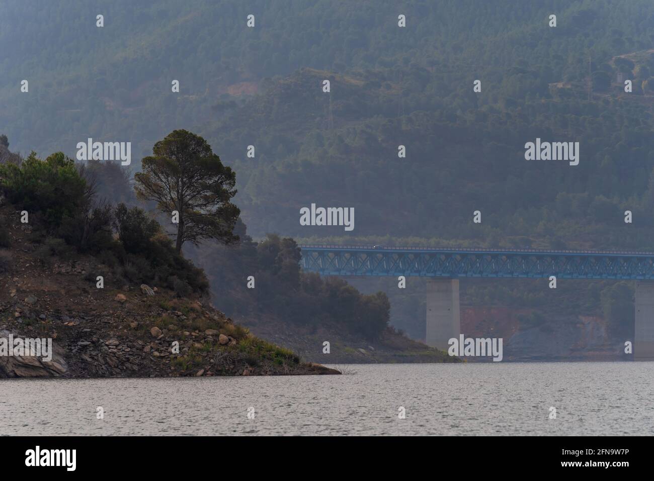 Swamp bridge hi-res stock photography and images - Alamy