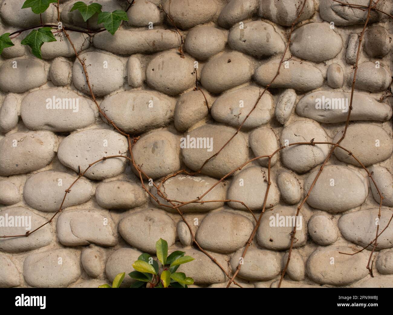 Plants against a block wall hi-res stock photography and images - Alamy