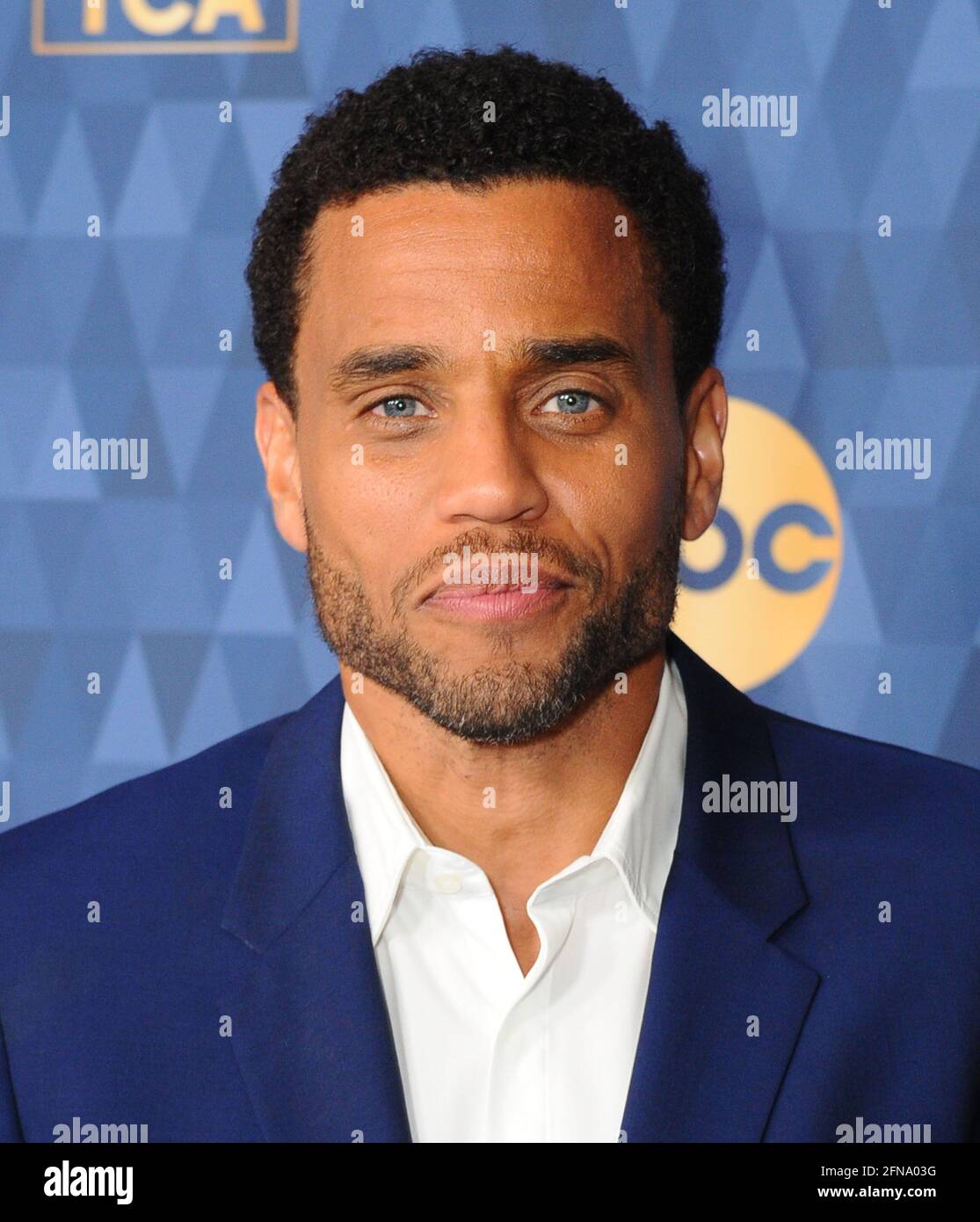 Pasadena - CA - 01/08/2020 ABC TCA Winter Press Tour -PICTURED: Michael ...