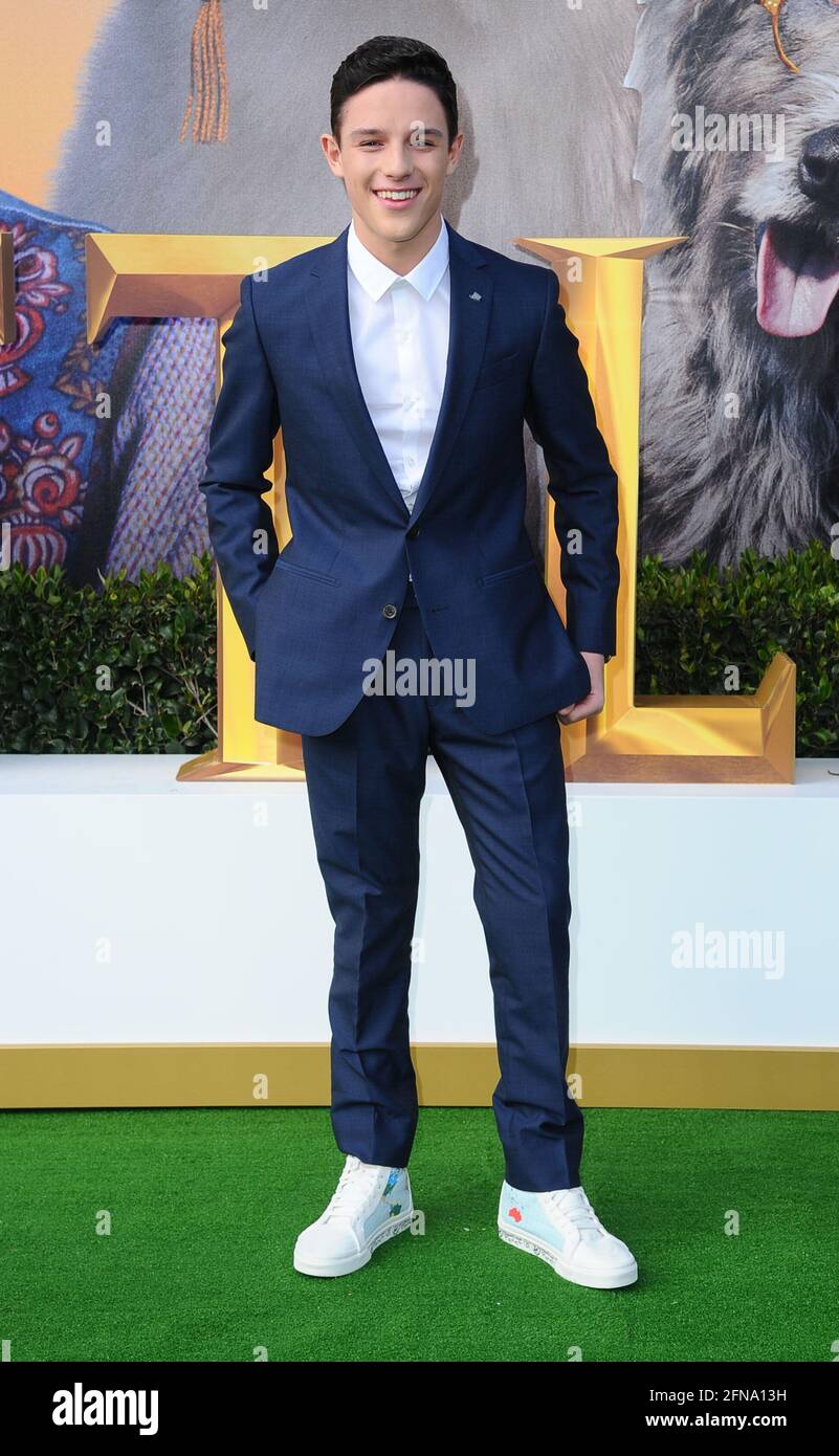 Los Angeles - CA - 01/11/2020 Dolittle Los Angeles Premiere -PICTURED ...