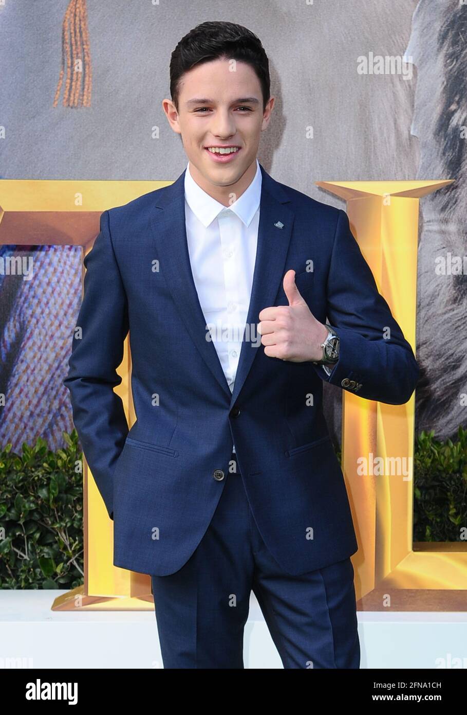 Los Angeles - CA - 01/11/2020 Dolittle Los Angeles Premiere -PICTURED ...