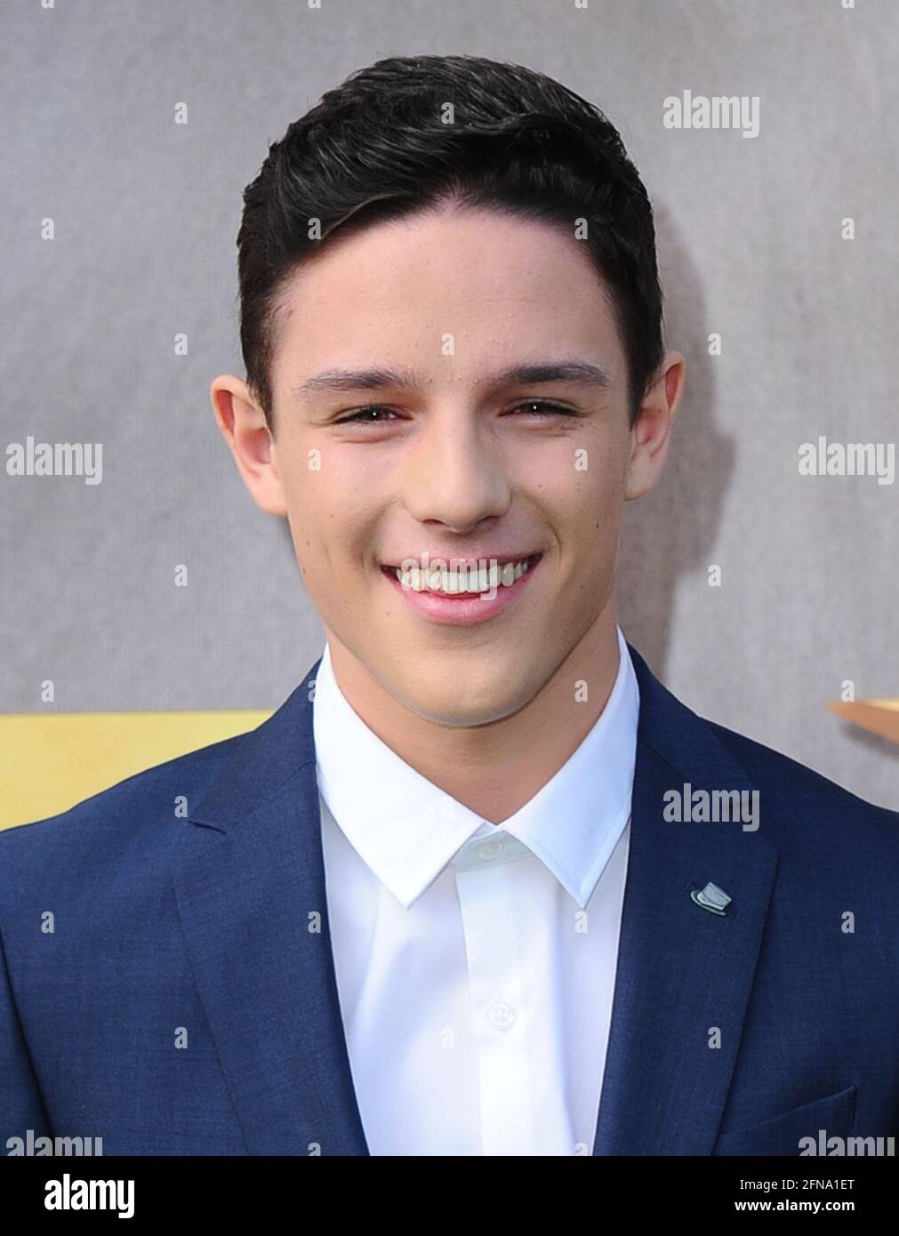 Los Angeles - CA - 01/11/2020 Dolittle Los Angeles Premiere -PICTURED ...