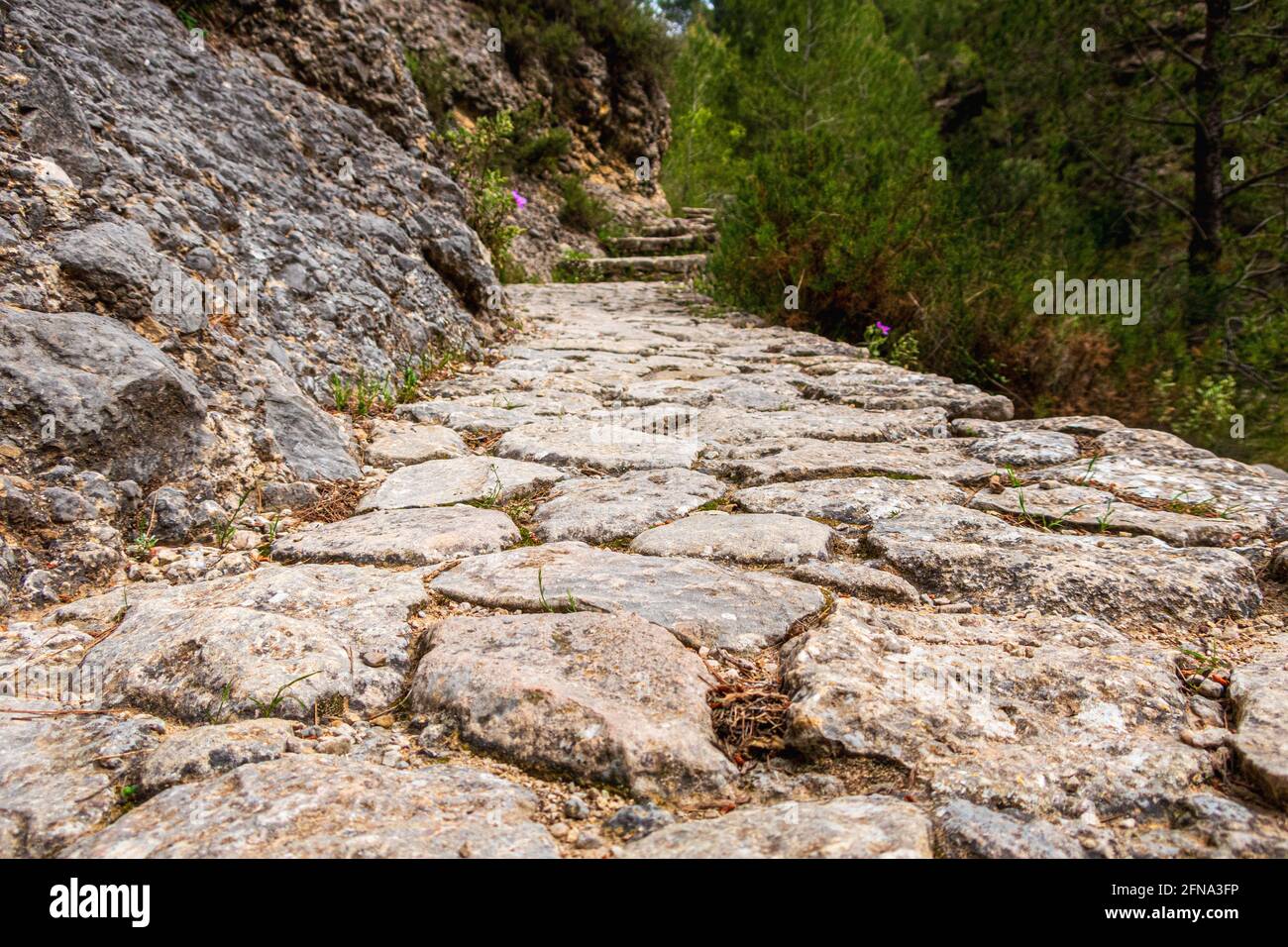 Footpath covered by stones on a mountain rock Stock Photo - Alamy