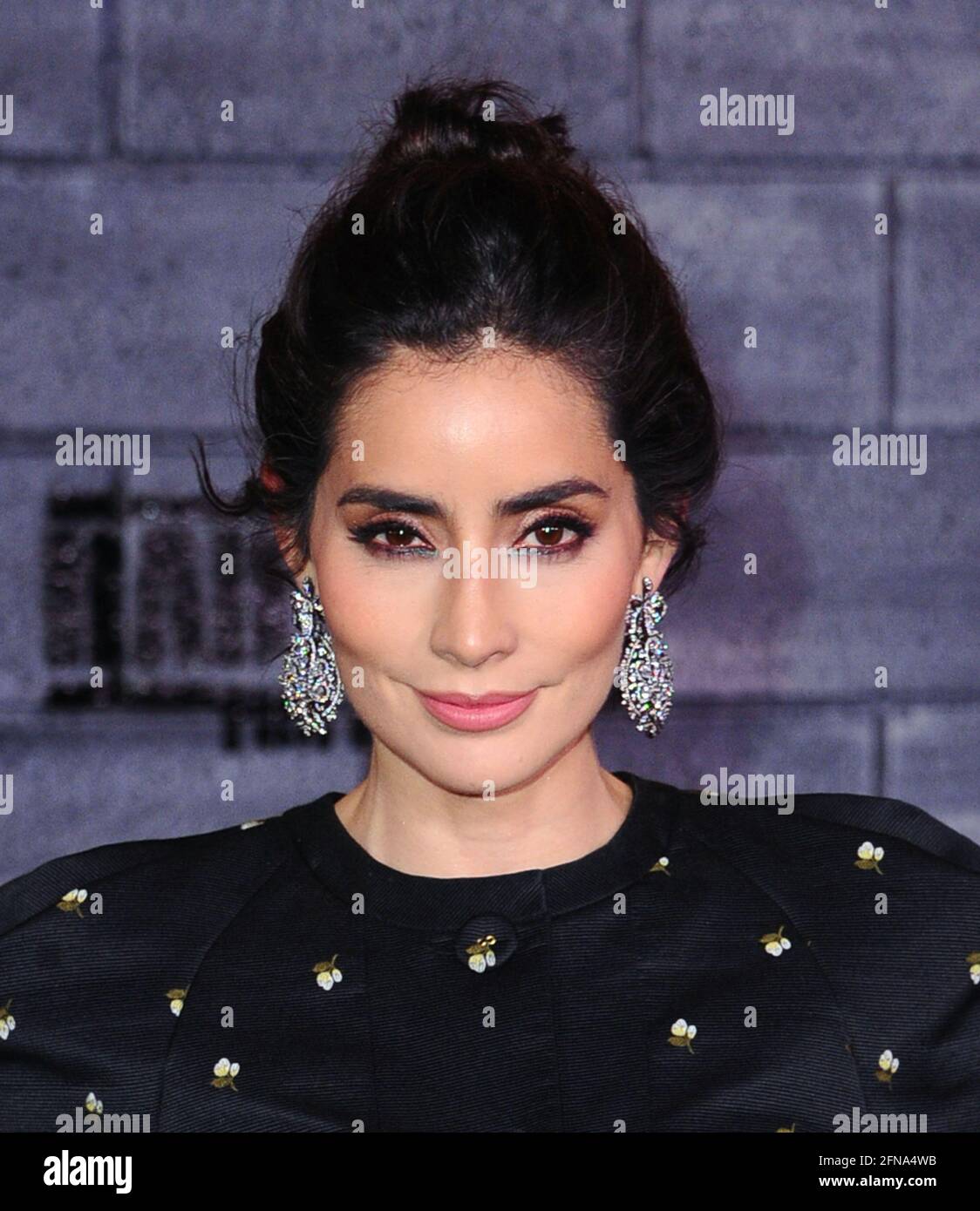 Los Angeles - CA - 01/14/2020 Bad Boys For Life Los Angeles Premiere -PICTURED: Paola Nunez Sara ...