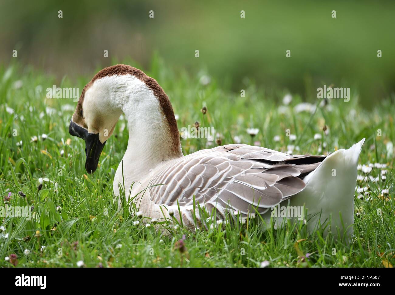 Ahnepark High Resolution Stock Photography and Images - Alamy