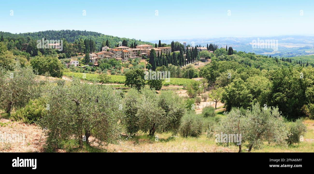 The hills covered with vineyards of Chianti. Tucany.Italie Stock Photo ...