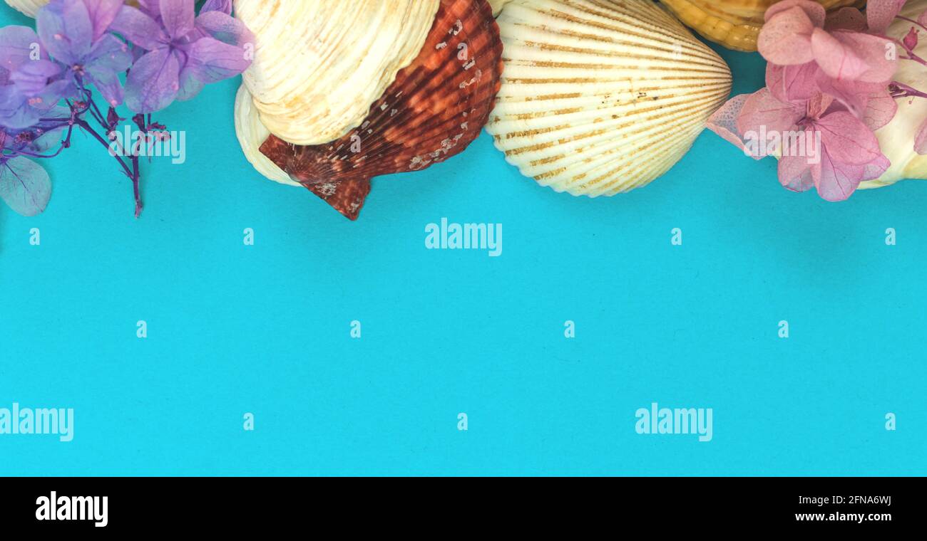 Sea and beach flat lay border composition on a bright colorful ...