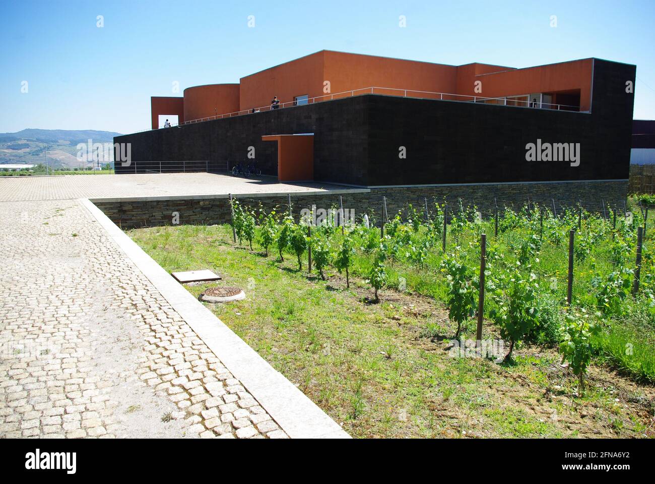 Quinta do portal vineyard hi-res stock photography and images - Alamy