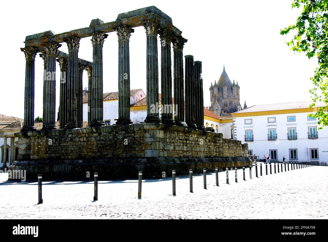 Temple universidad hi-res stock photography and images - Alamy