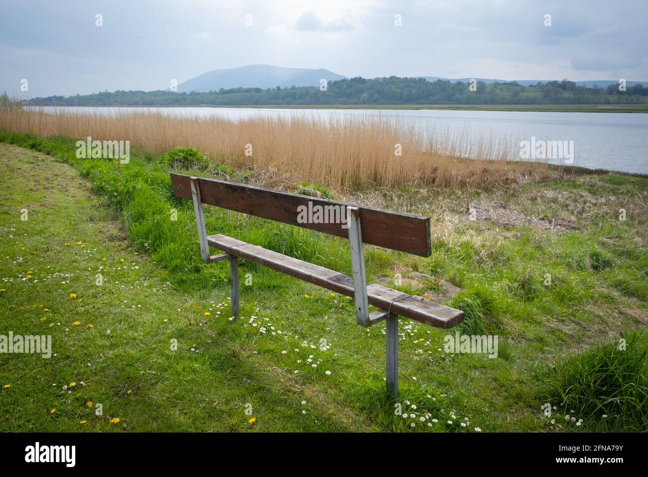 Criffel hill hi-res stock photography and images - Alamy