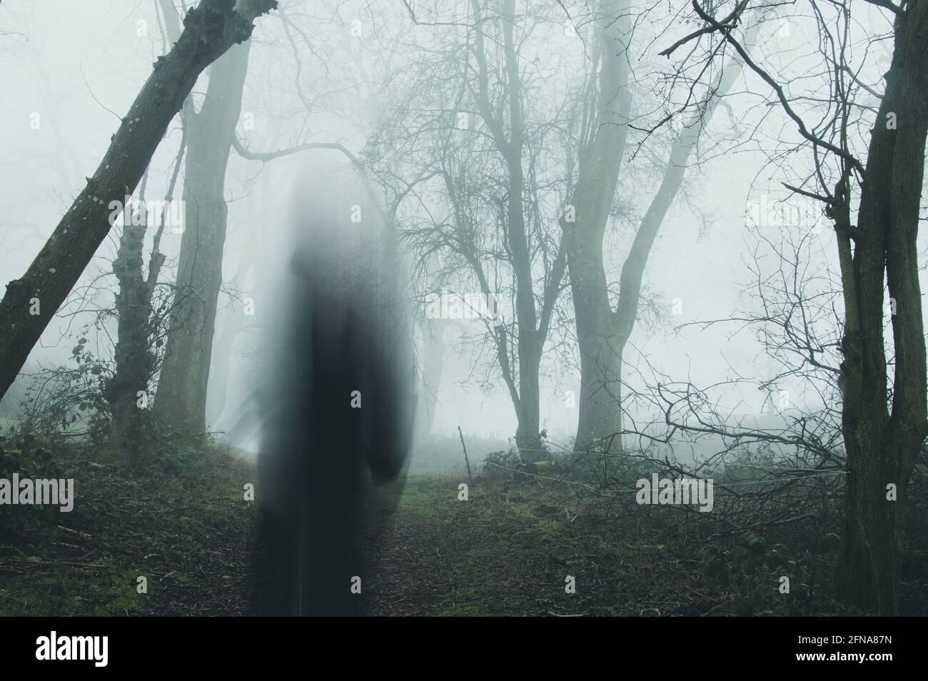 Slender Man Forest Fog