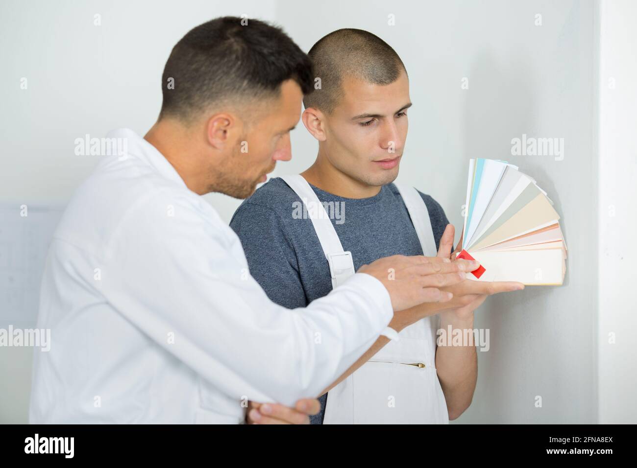 looking at color swatches and choosing colours Stock Photo - Alamy