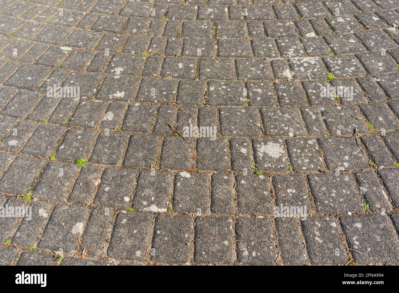 Closeup shot brick way hi-res stock photography and images - Alamy