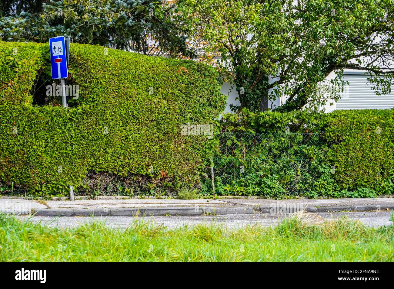 Dead Hedge High Resolution Stock Photography and Images - Alamy