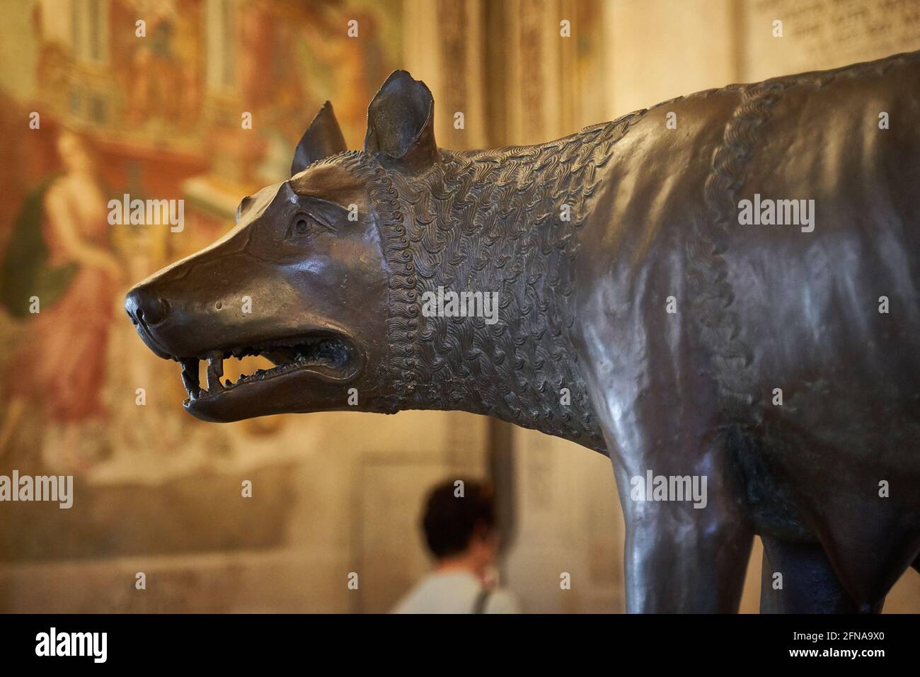 Lupa capitolina hi-res stock photography and images - Alamy