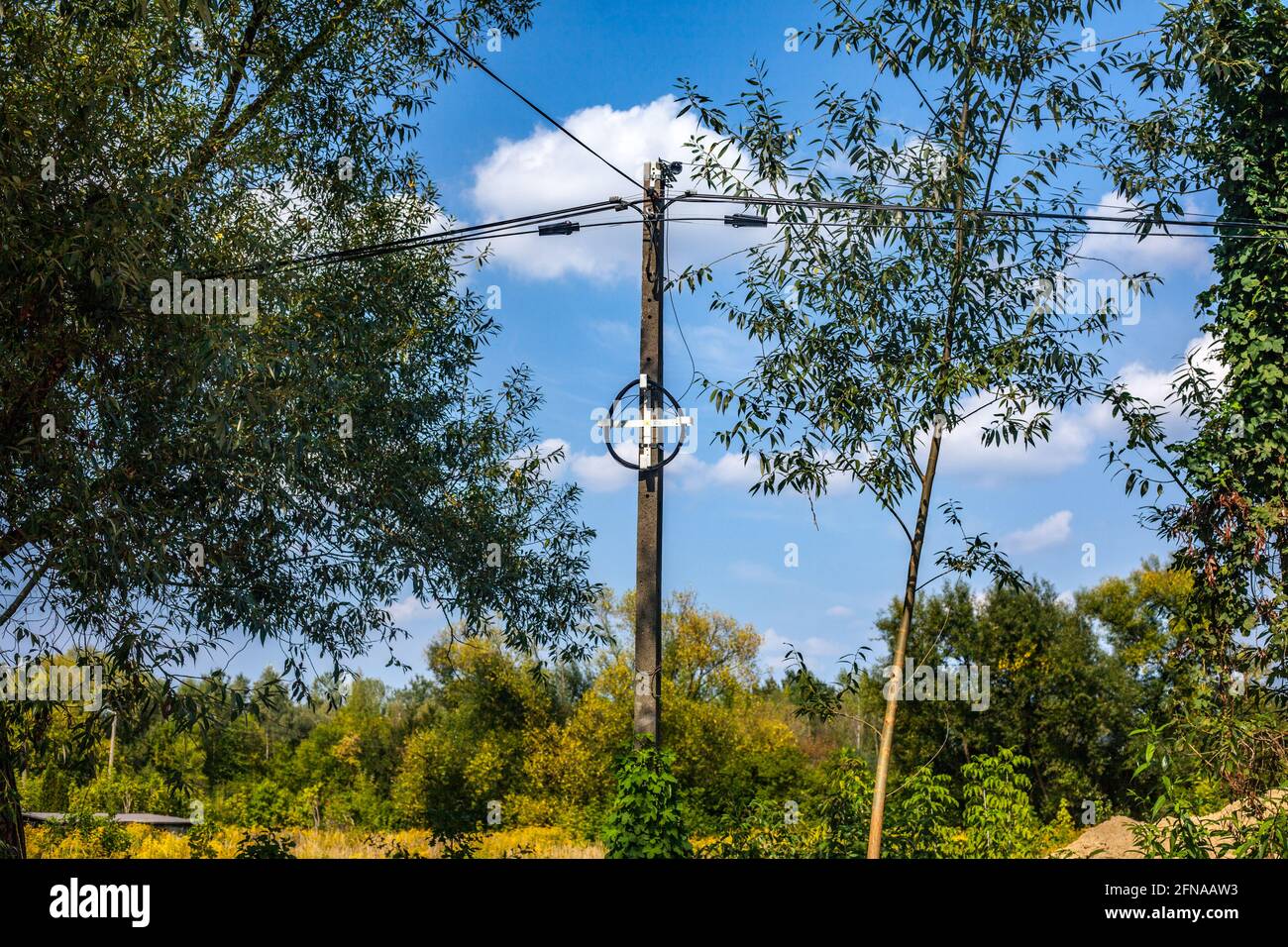 Field with trees and an electricity pole on a sunny day Stock Photo - Alamy