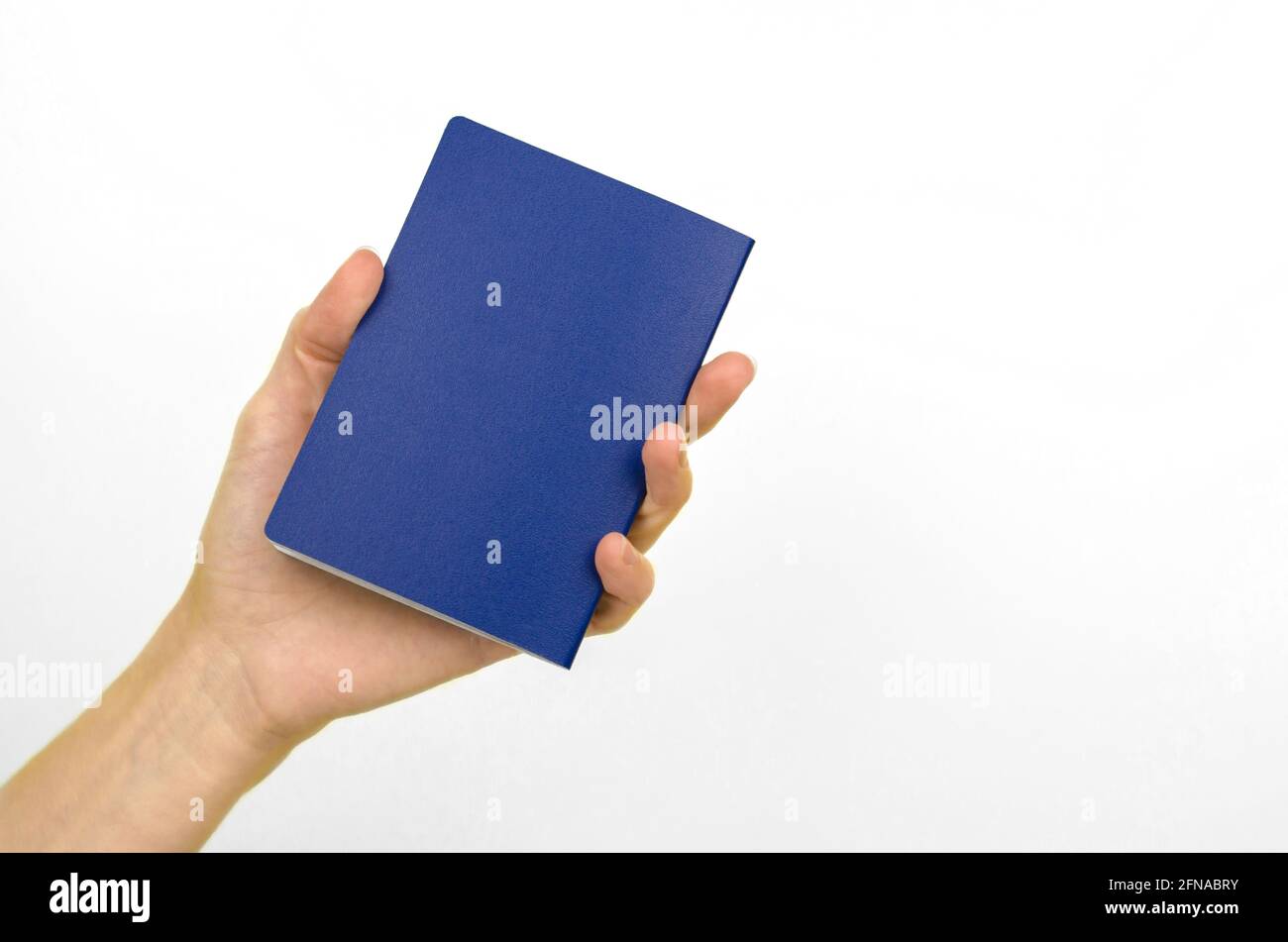 Blank blue card in a female hand on a white background Stock Photo - Alamy