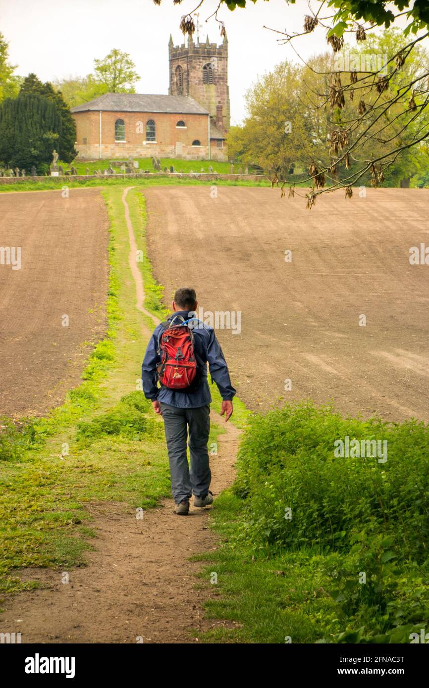 Man walking backpacking through Cheshire farmland countryside on a ...