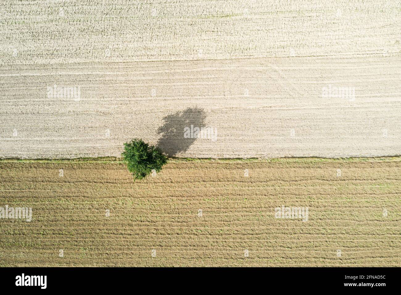 Aerial tree landscape hi-res stock photography and images - Alamy