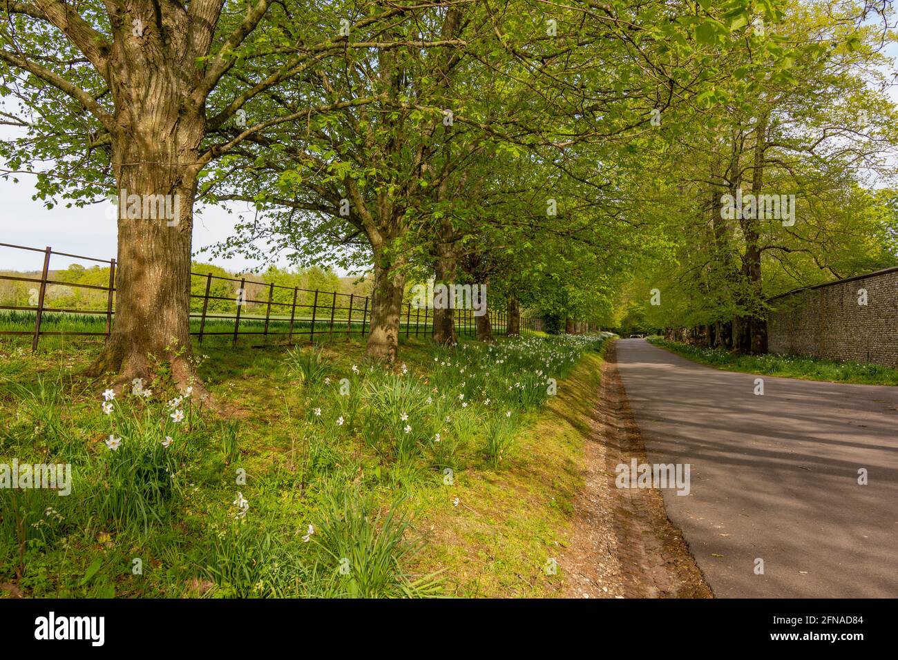 Monarchs way path hi-res stock photography and images - Alamy