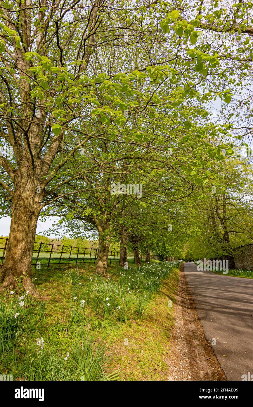 The Monarch's Way Long Distance Path as it heads towards Findon Village ...