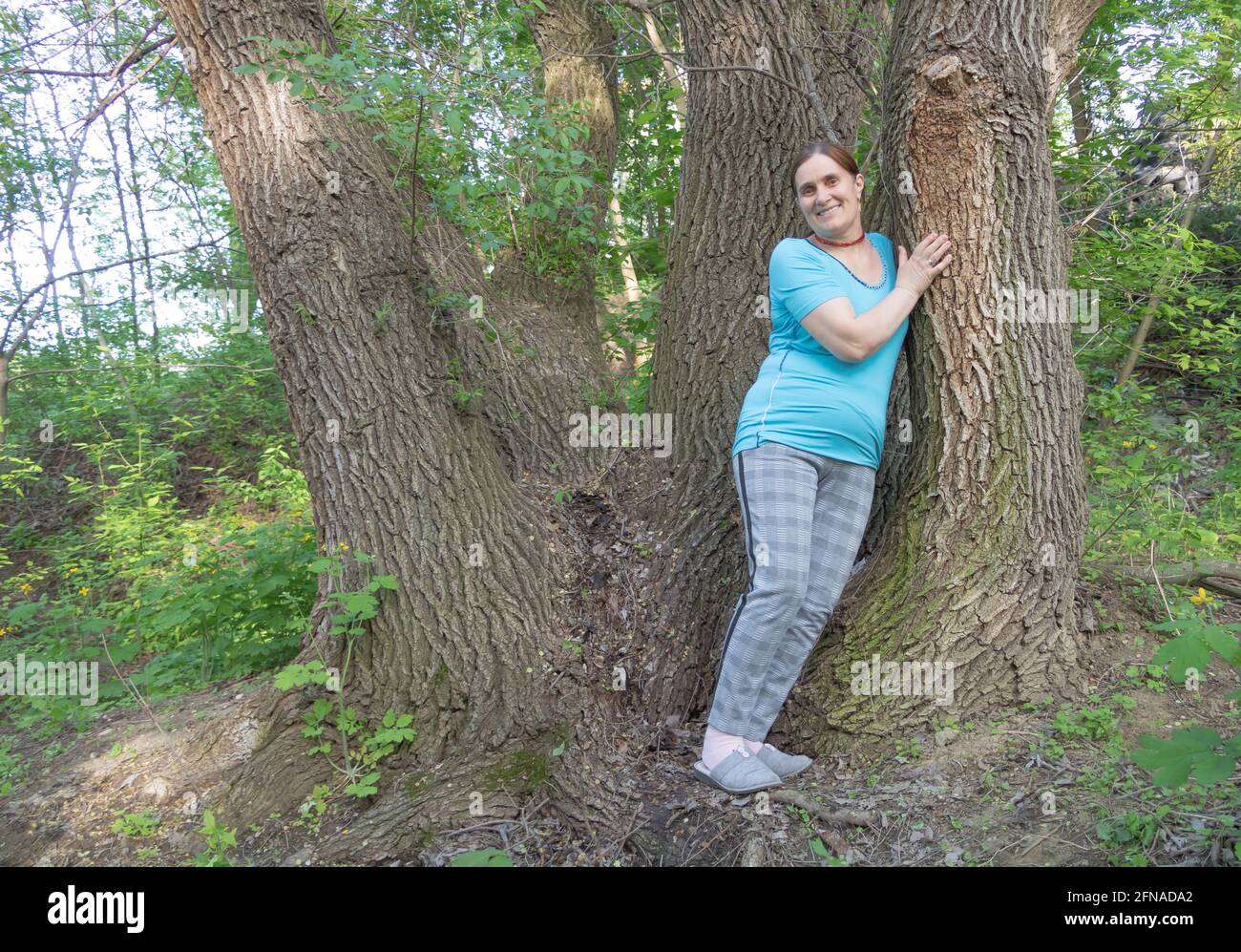 Thick stem hi-res stock photography and images - Alamy