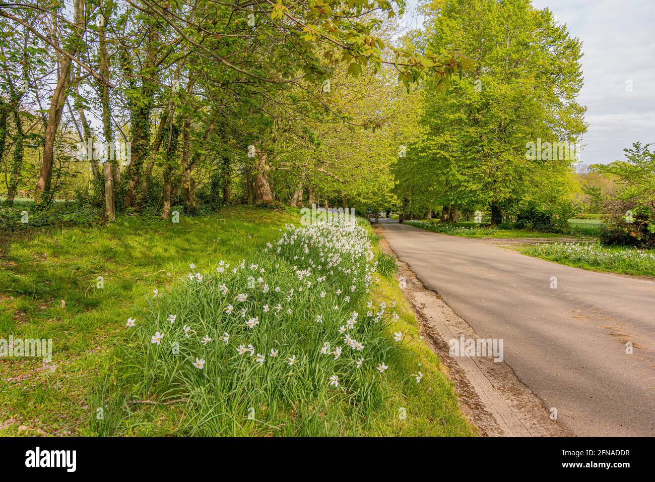 The Monarch's Way Long Distance Path as it heads towards Findon Village ...
