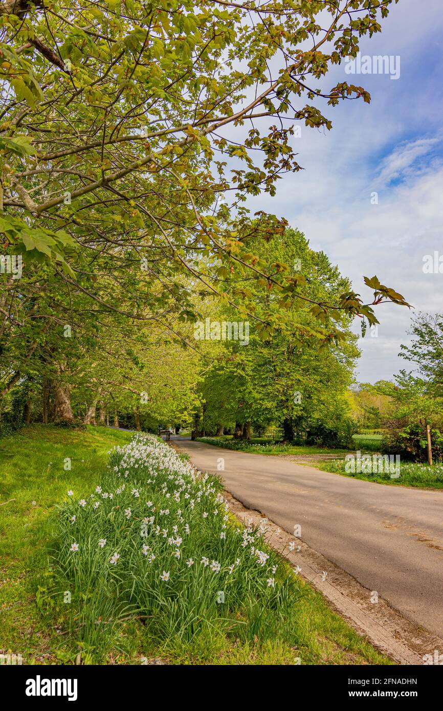Monarchs way path hi-res stock photography and images - Alamy