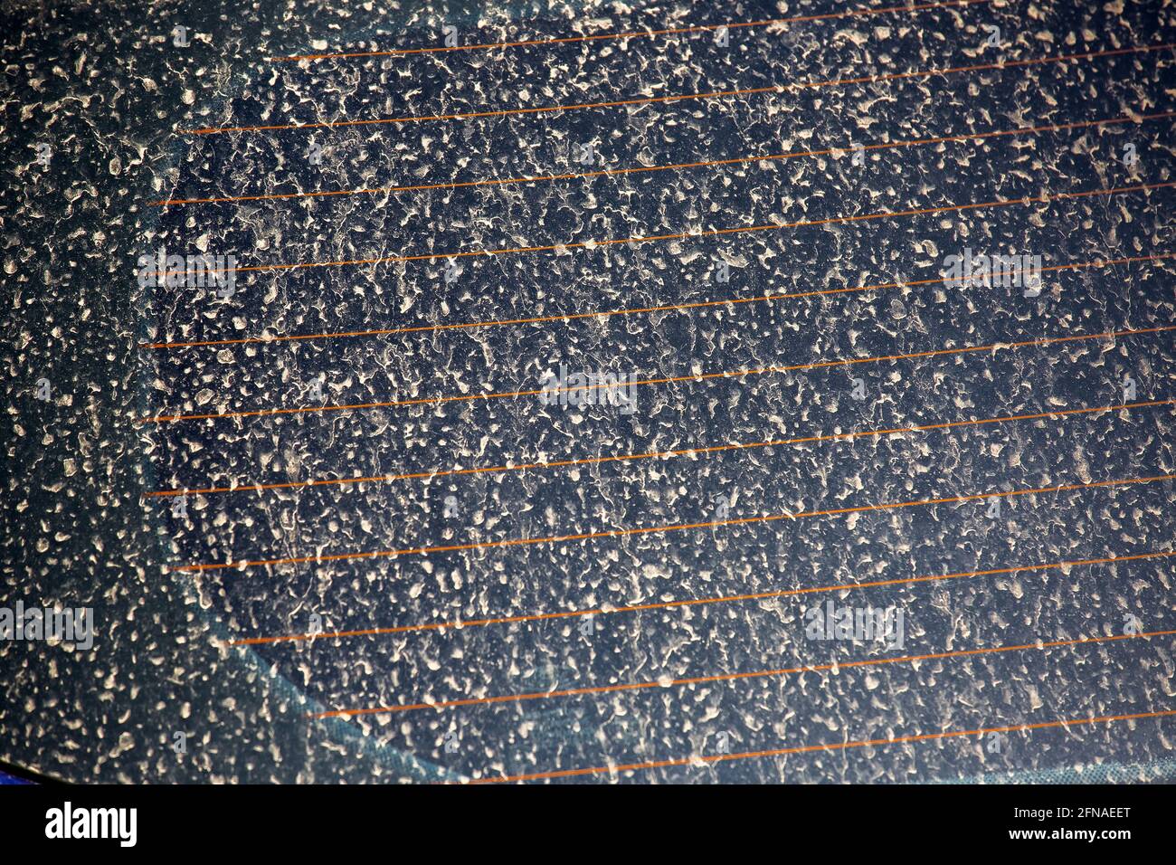 the window of a dirty car covered with a layer of dry dust in spots ...