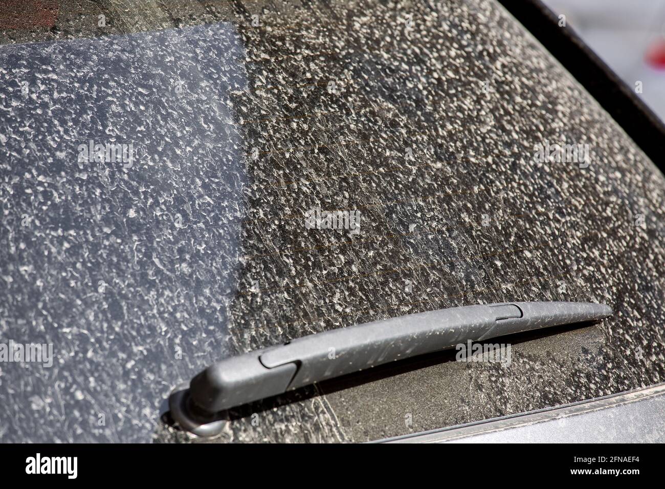 back window of a dirty car with a windshield wiper covered with a layer ...