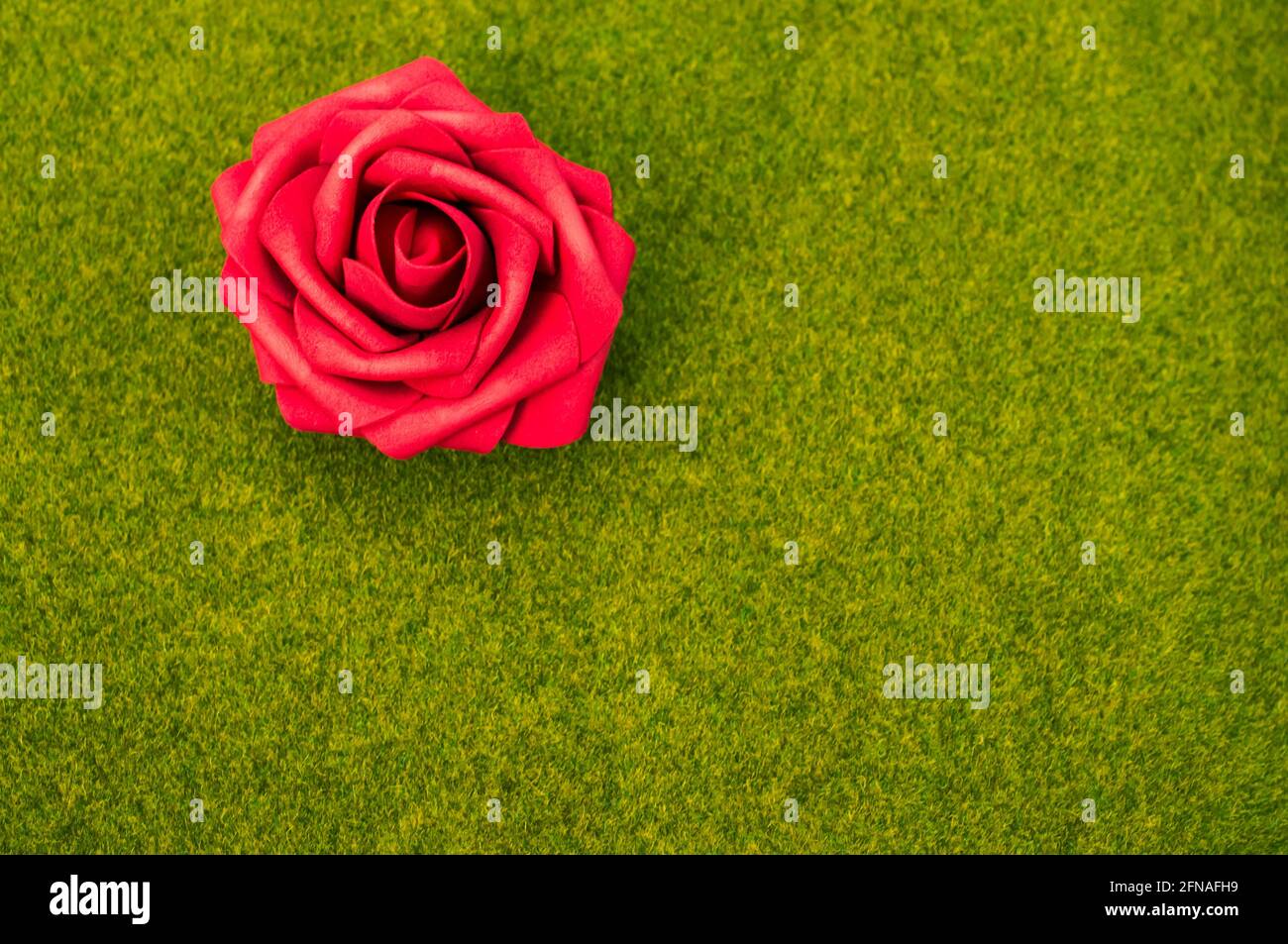 Closeup shot of a re rose in the green grass background Stock Photo - Alamy