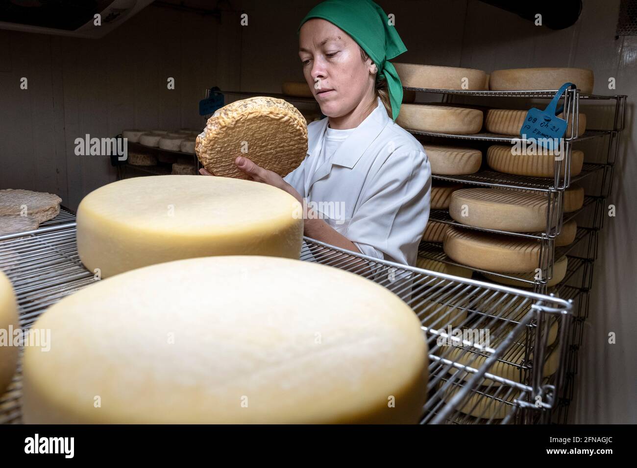 Cheese maturation process hi-res stock photography and images - Alamy
