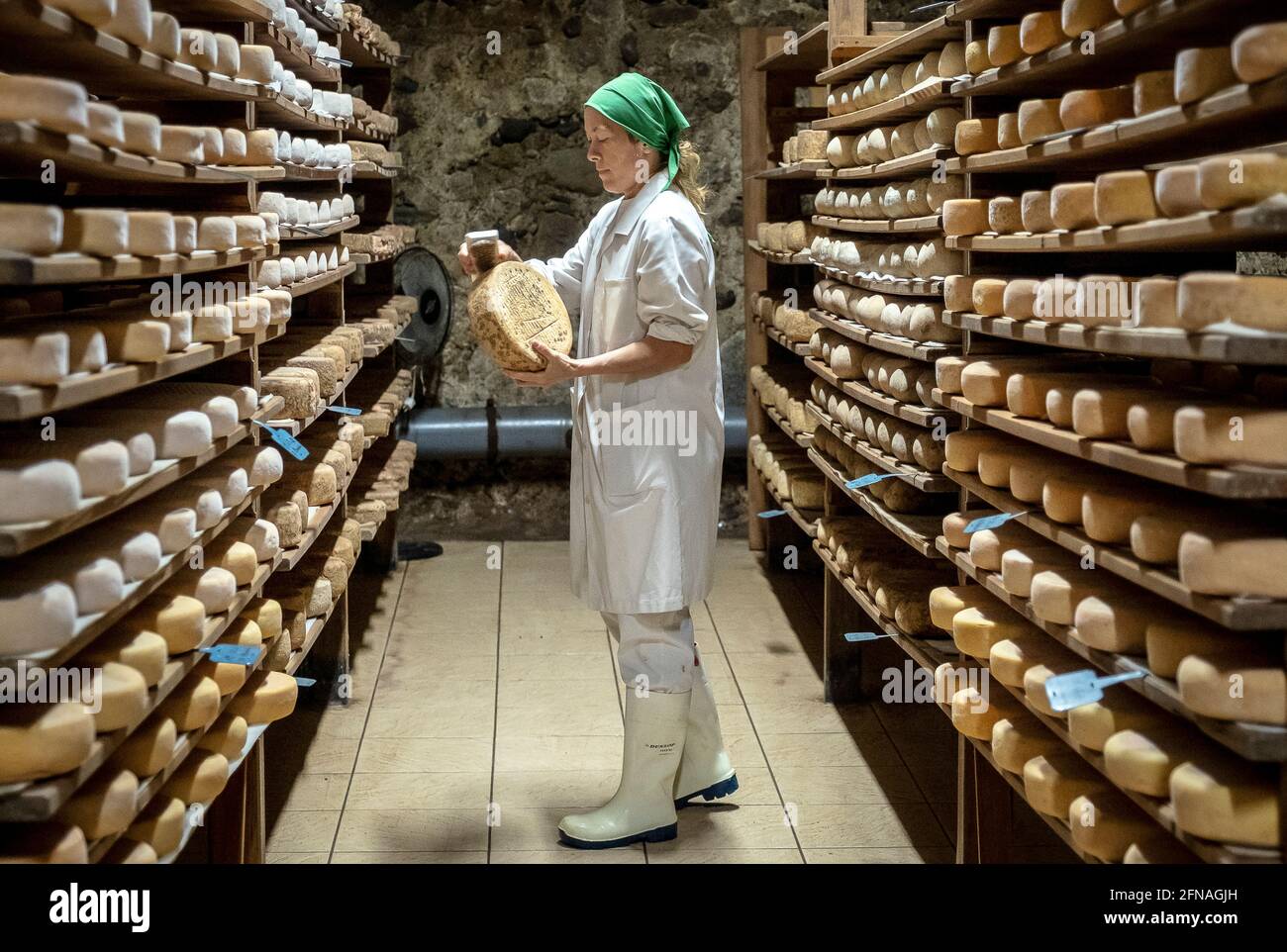 Cheese maturation process hi-res stock photography and images - Alamy