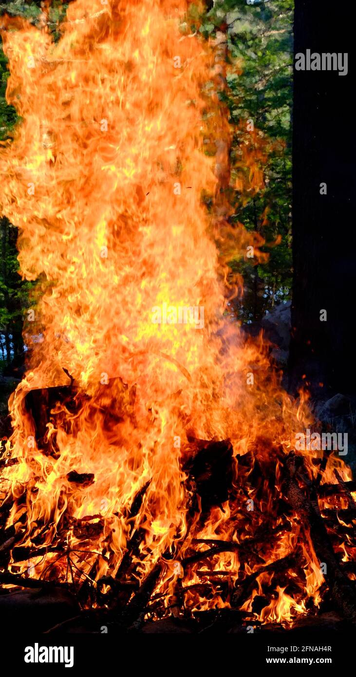 Bonfire, burning brush, controlled fire, flames Stock Photo - Alamy