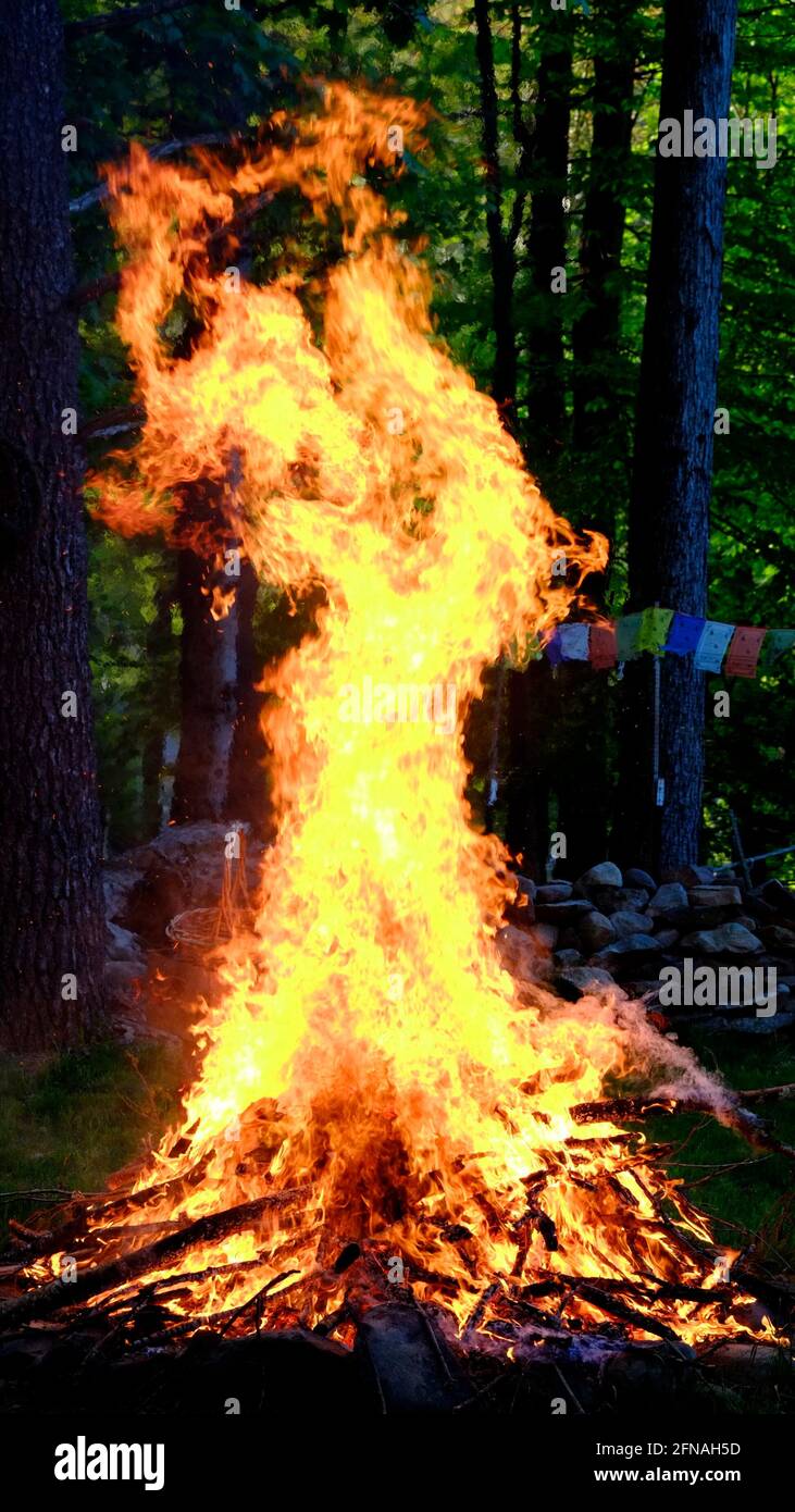 Bonfire, burning brush, controlled fire, flames Stock Photo - Alamy
