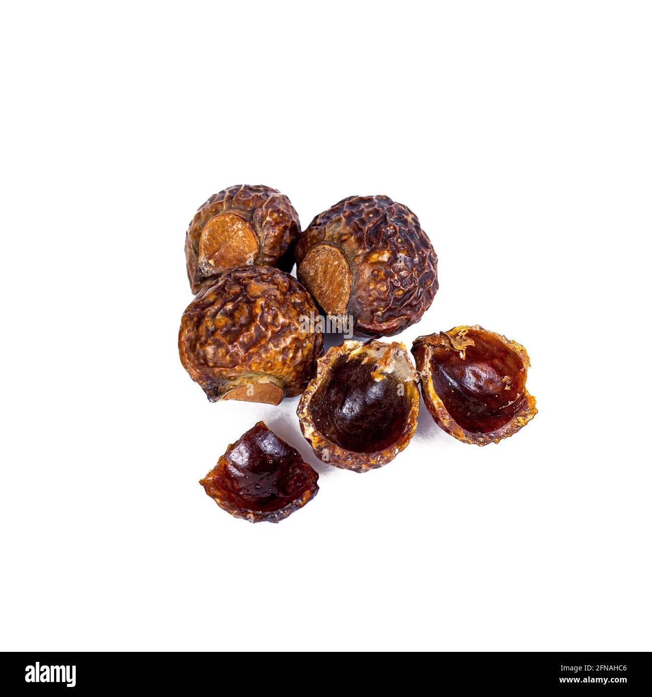 Ecology of india Cut Out Stock Images & Pictures - Alamy