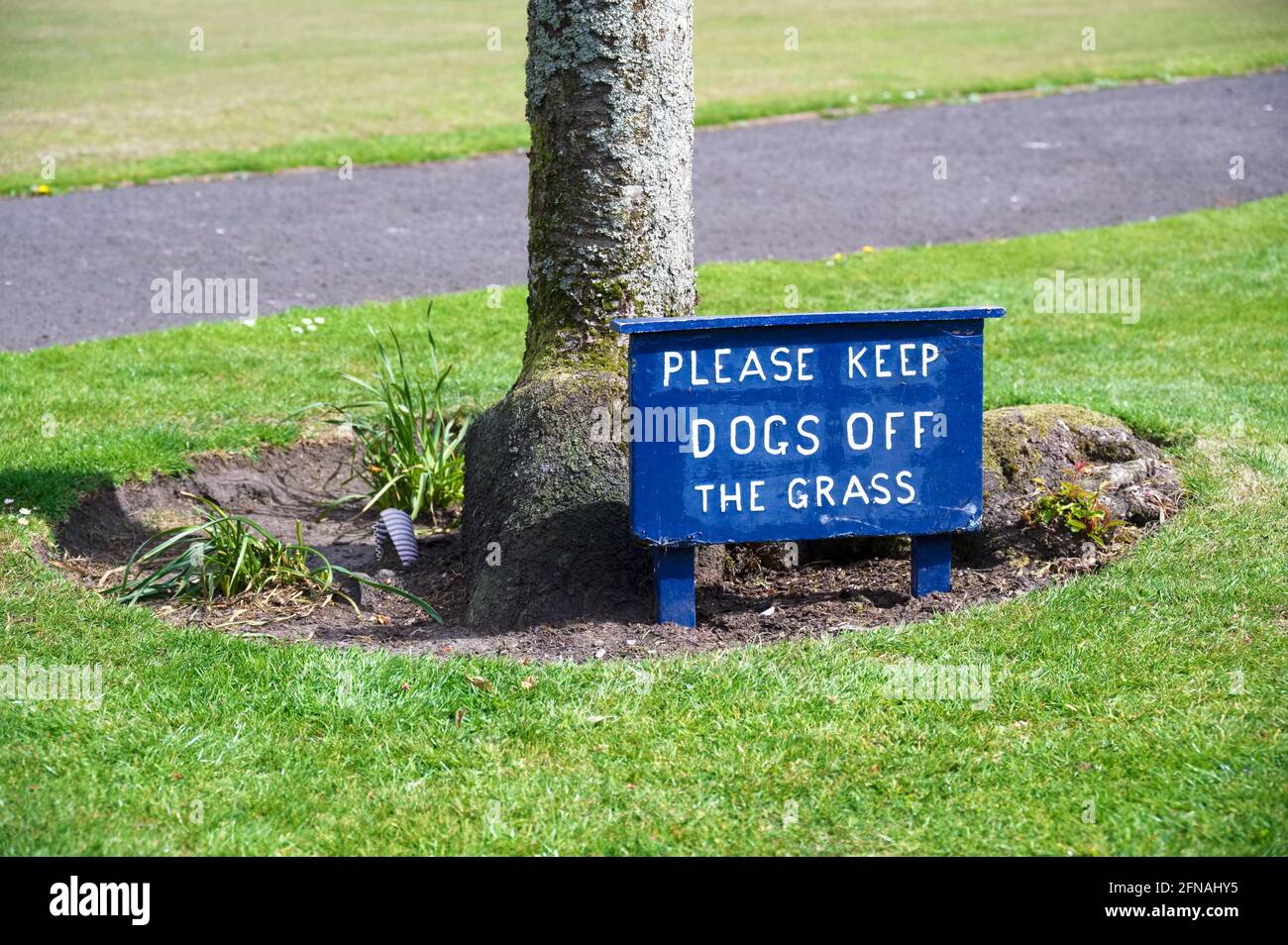 Please keep dogs off the grass sign Stock Photo - Alamy