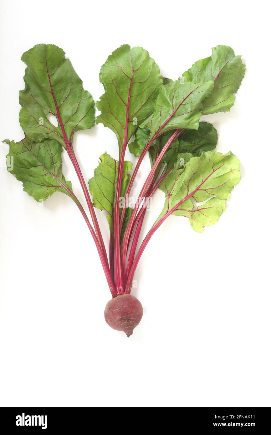 Red beet root with leaves isolated on white background. Healthy food ...