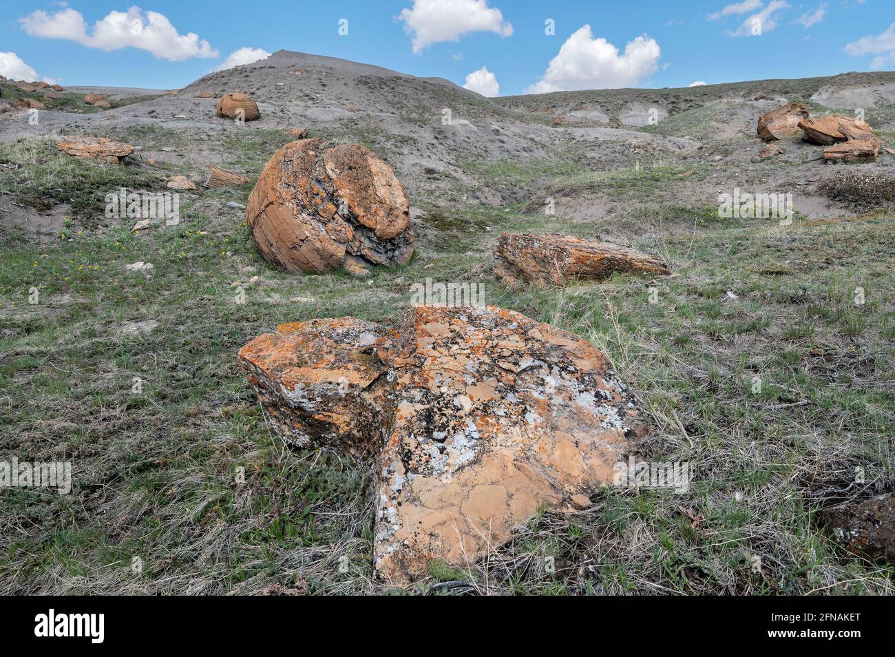 Ironstone concretions hi-res stock photography and images - Alamy