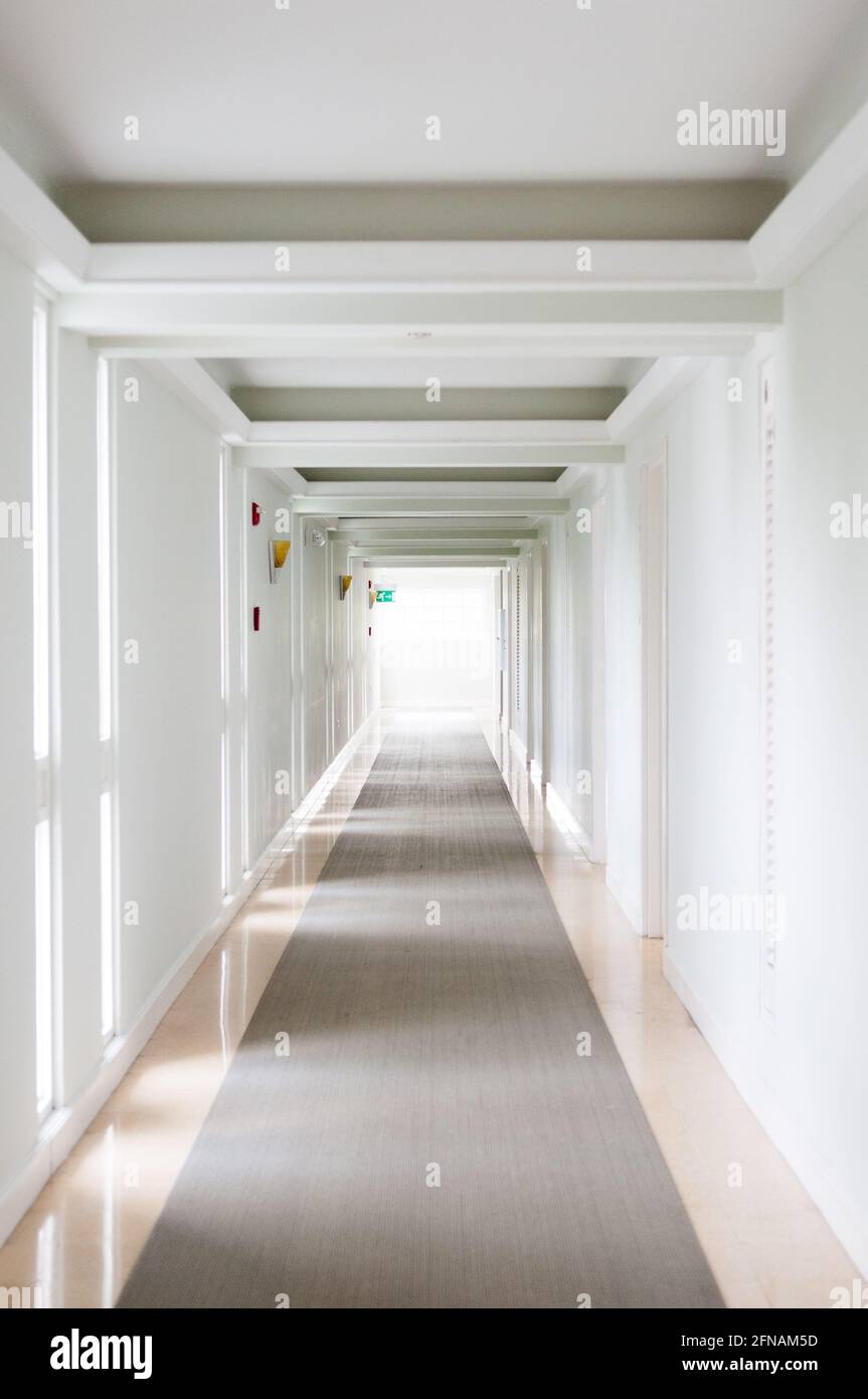 Vertical shot of a long, white corridor with clean walls and reflective ...