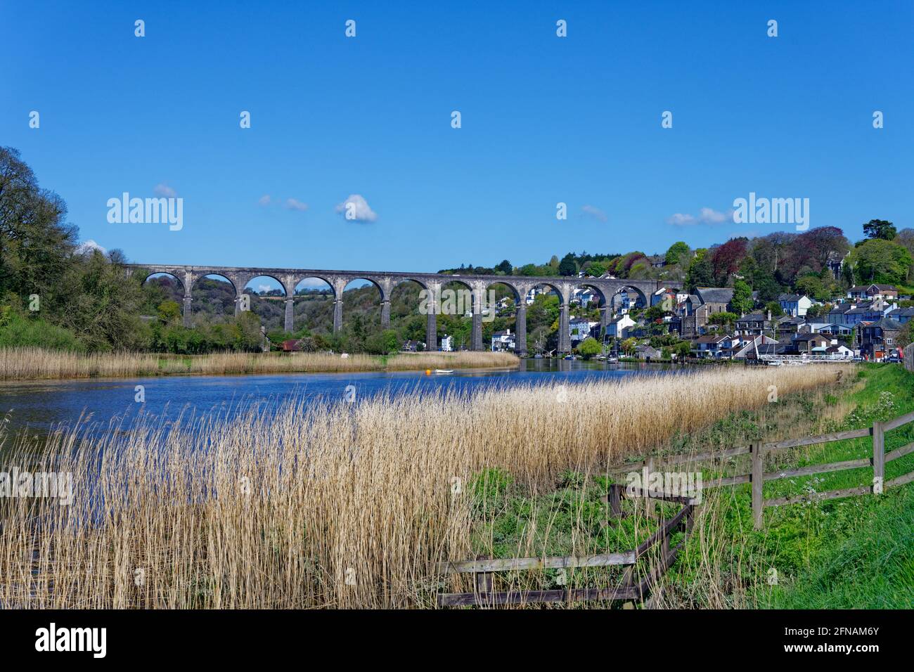 View of the Calstock Viaduct Over the River Tamar in Cornwall Stock ...