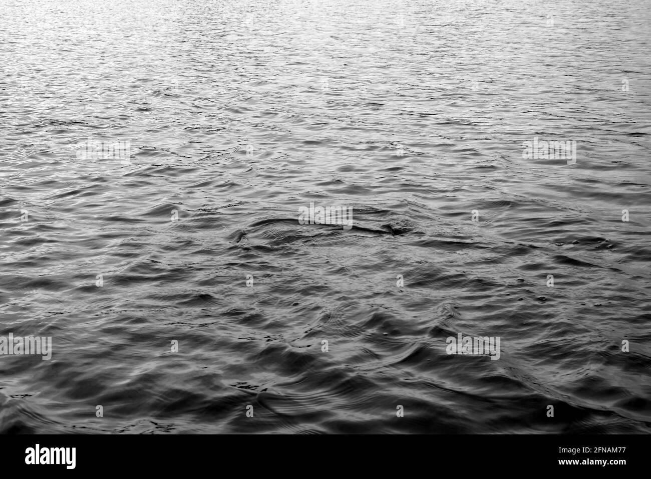 Grayscale shot of the smooth sea water surface Stock Photo - Alamy