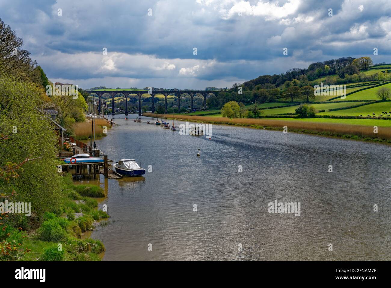 View of the Calstock Viaduct Over the River Tamar in Cornwall Stock ...