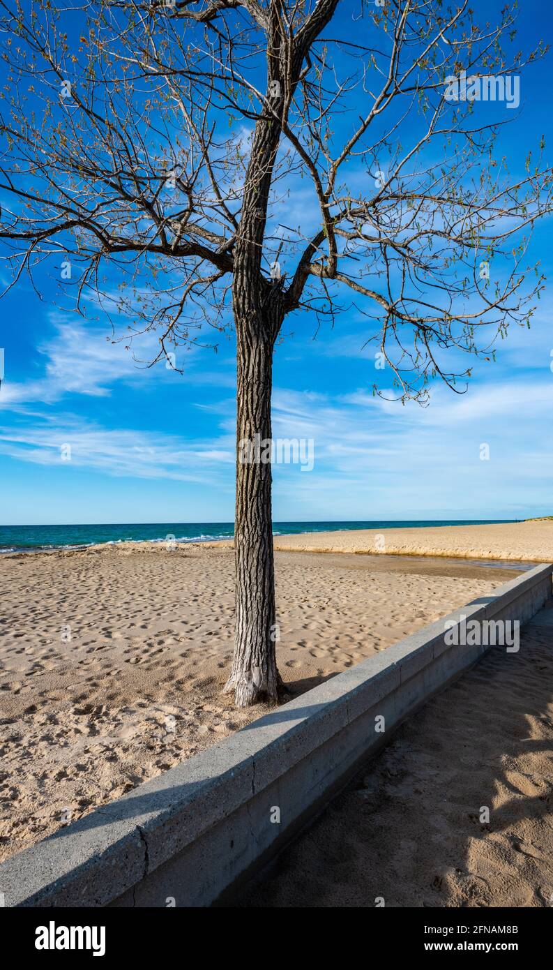 Rivers and Sandy Beaches along Indiana Dunes State Park Stock Photo - Alamy