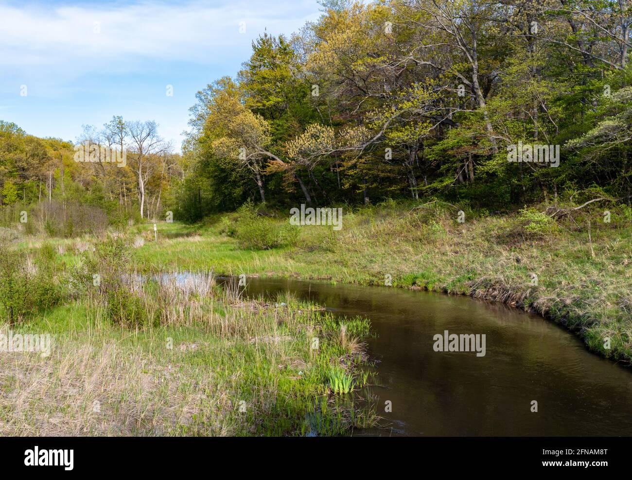 Rivers and Sandy Beaches along Indiana Dunes State Park Stock Photo - Alamy