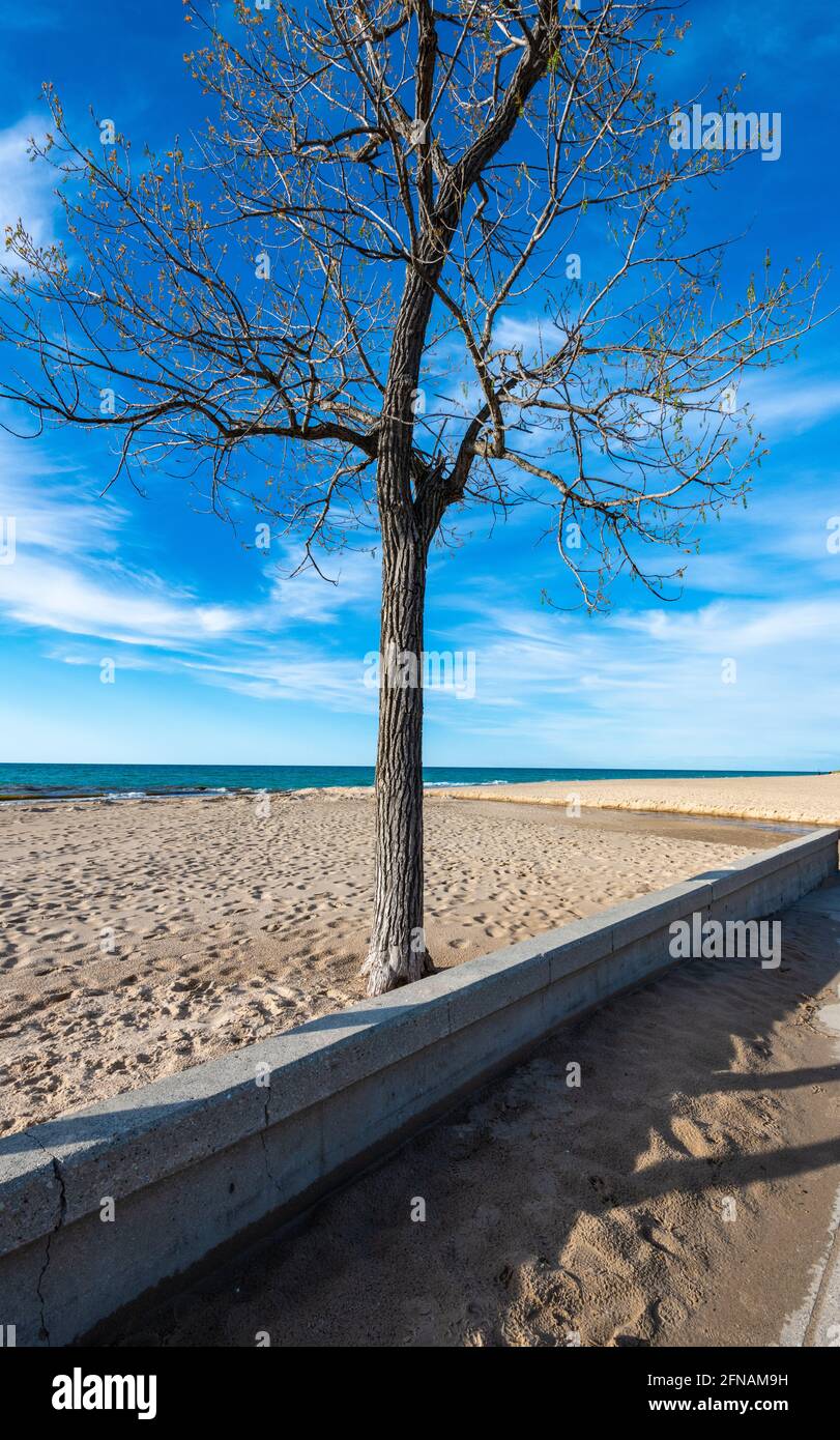 Beachfront along Lake Michigan in Indiana Dunes State Park Stock Photo ...